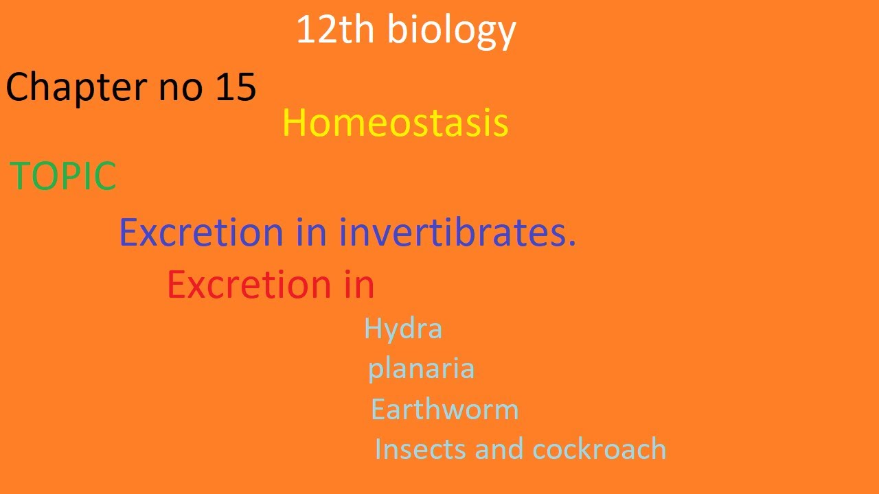 excretion in invertibrates //excretion in hydra//planaria//earthworm ...
