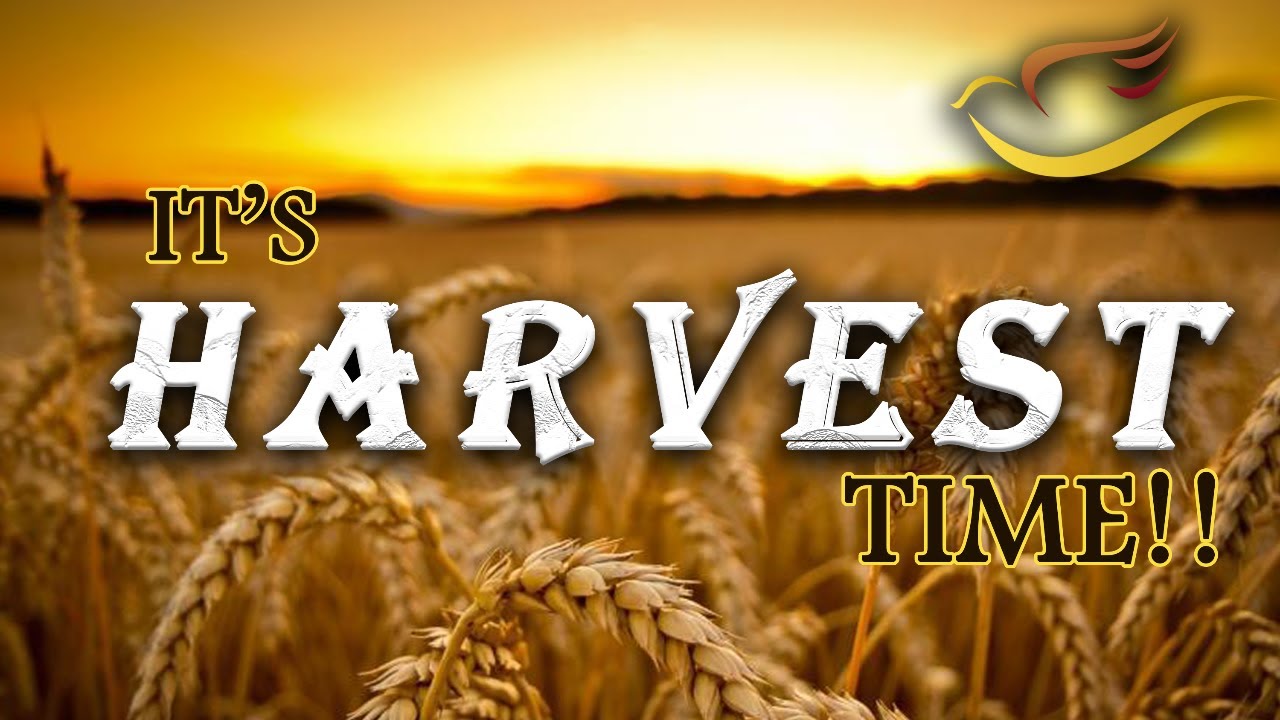 It's Harvest Time! - YouTube