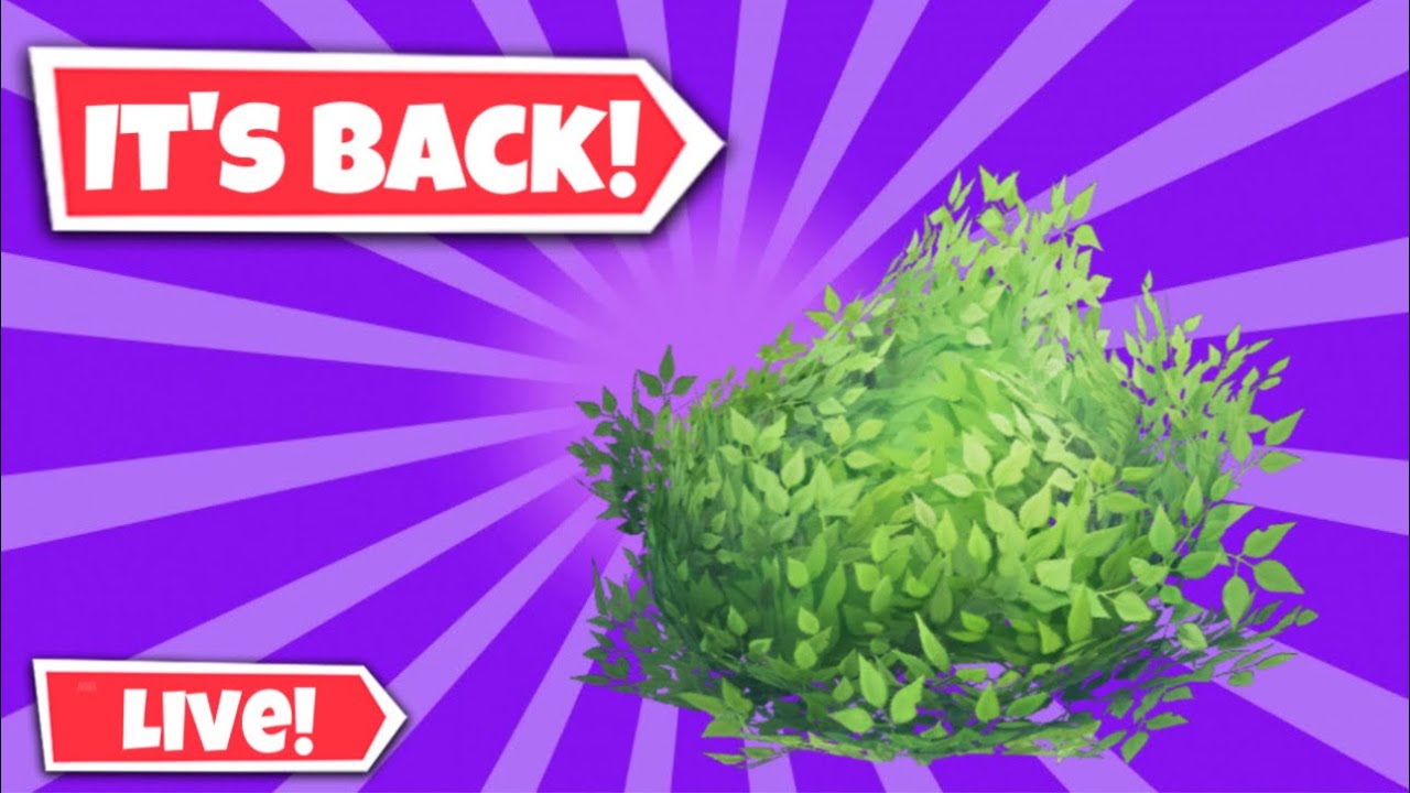 THE BUSH IS BACK! PLUS SKYBASE??? - YouTube