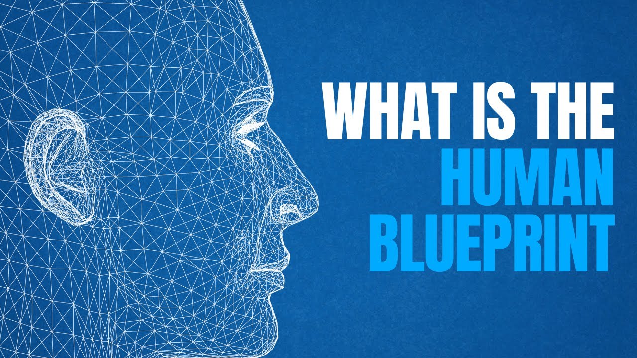 What is the Human Blueprint - YouTube
