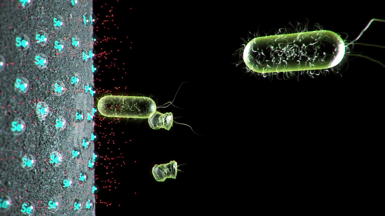 SelenBio SELDOX™ Short Version - YouTube