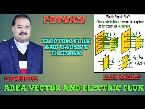 Gauss Theorem (Area Vector And Electric Flux) - YouTube