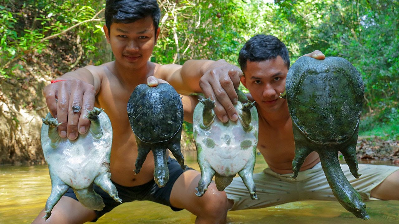 Wow! Finding Turtle & Cooking Tasty Turtle with Chinese Cabbage Recipes ...