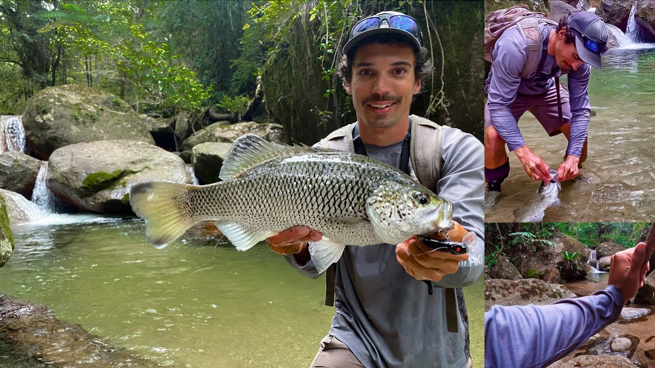 I Walked 30ks In The Tropical Rainforest - Insane Jungle Fishing. - YouTube