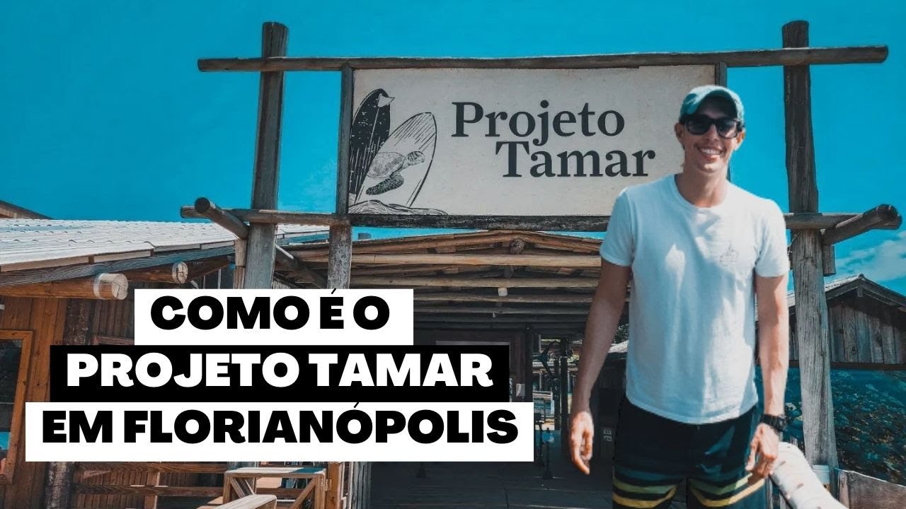 Projeto Tamar em Florianópolis - YouTube