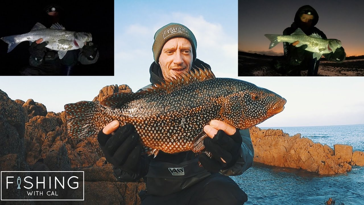 BASS AT SUNRISE | BIG WRASSE | CHANGING TACTICS | LURE FISHING FOR BASS ...