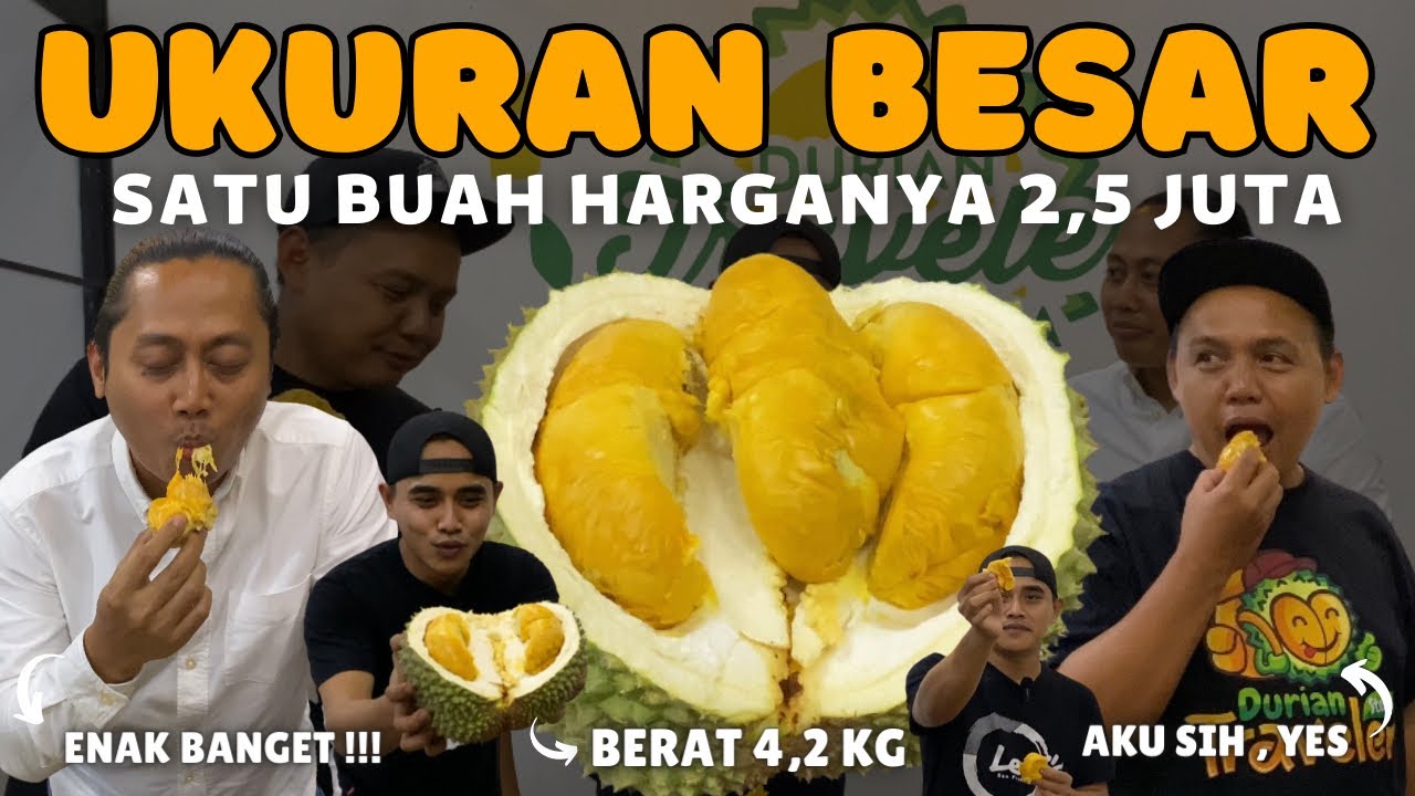 WOW HARGA 2 5 JUTA DURIAN DURI HITAM JUMBO BERATNYA 4 2KG durian wow-harga-2-5-juta-durian-duri-hitam-jumbo-beratnya-4-2kg-durian