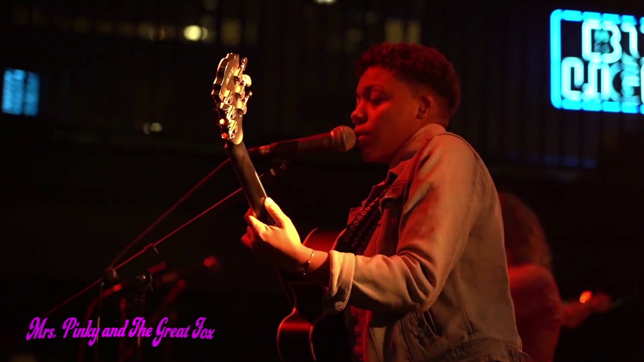 B-Roll of Mrs. Pinky and The Great Fox - YouTube