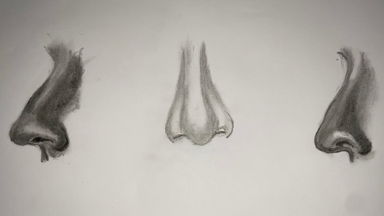 How to draw realistic nose side by side | tutorial - YouTube
