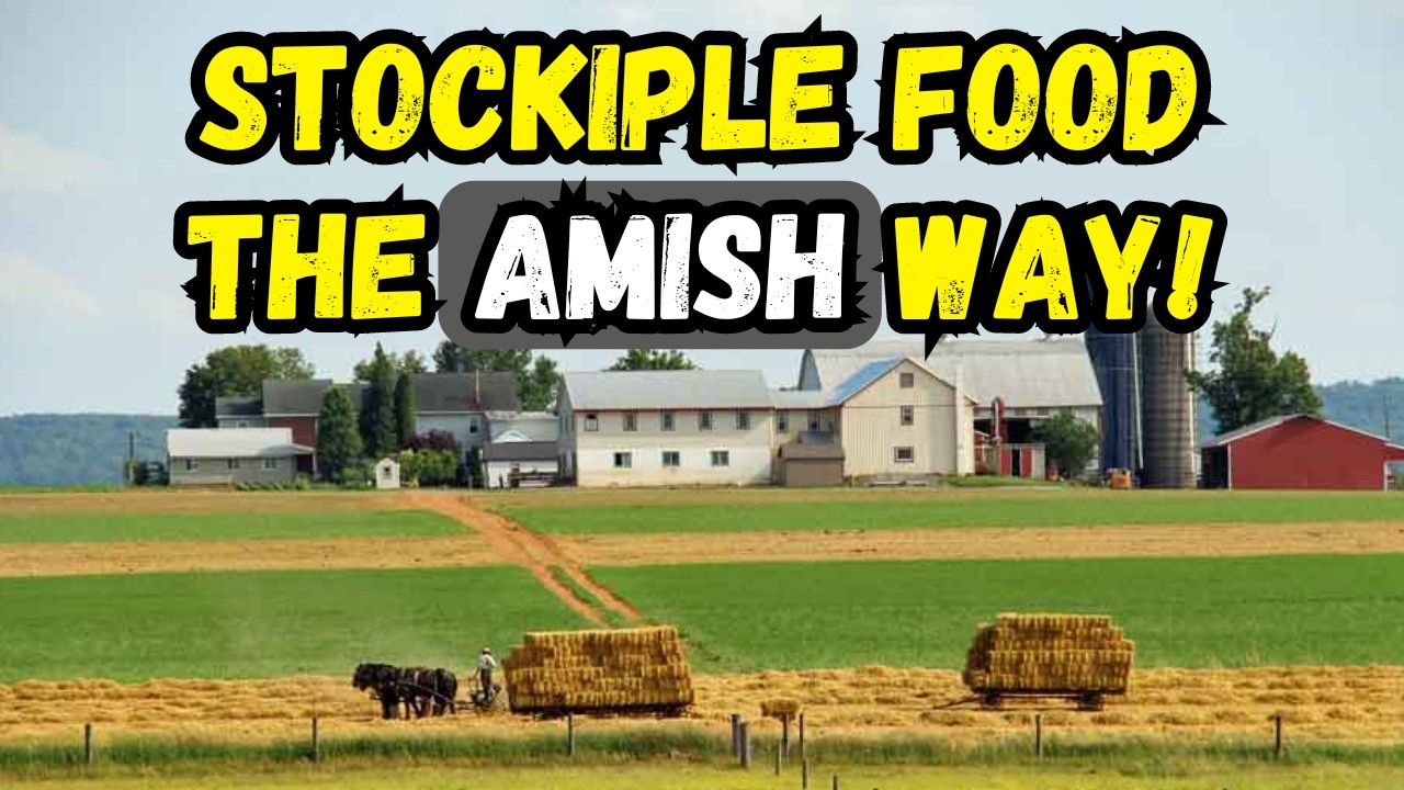 Prepping the Amish Way: Amish Strategies for a Complete Prepper Pantry ...