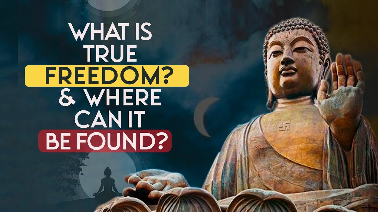 Buddhism: What is True Freedom? - YouTube