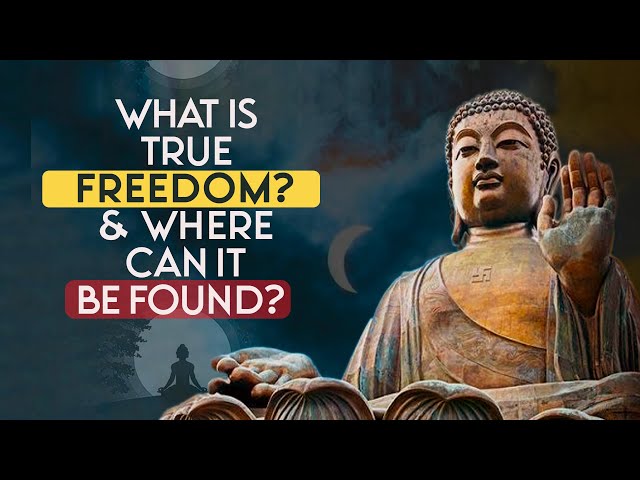 Buddha On Freedom Quotes