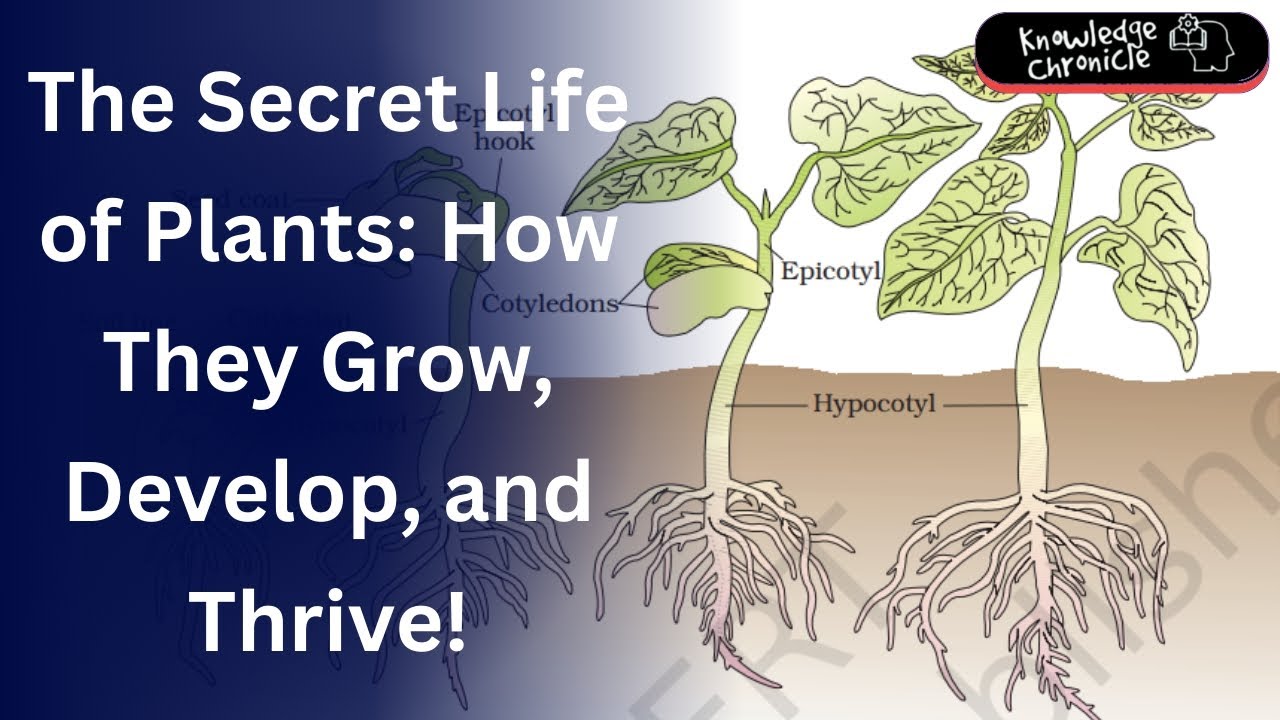 The Secret Life of Plants: How They Grow and Develop. - YouTube