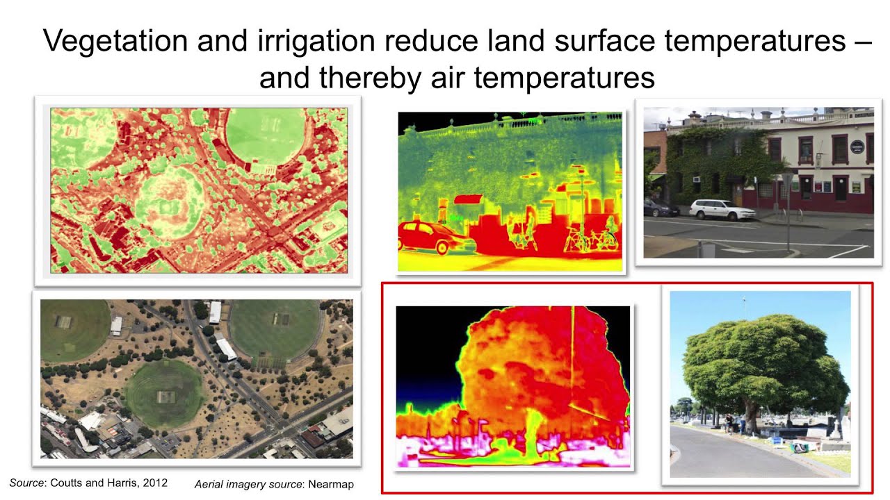 Water Sensitive Urban Design for Climate Improvement - YouTube