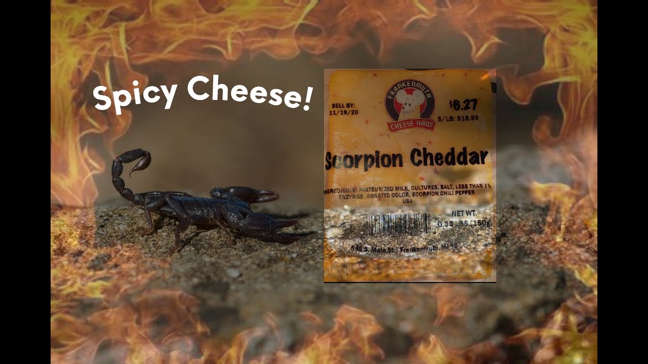 SCORPION CHEESE!! - YouTube