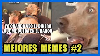 Memes Graciosos En Espa