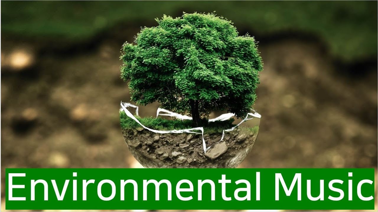 Environmental conservation song PROTECTION -Panarama- (친환경 음악, LP ver ...