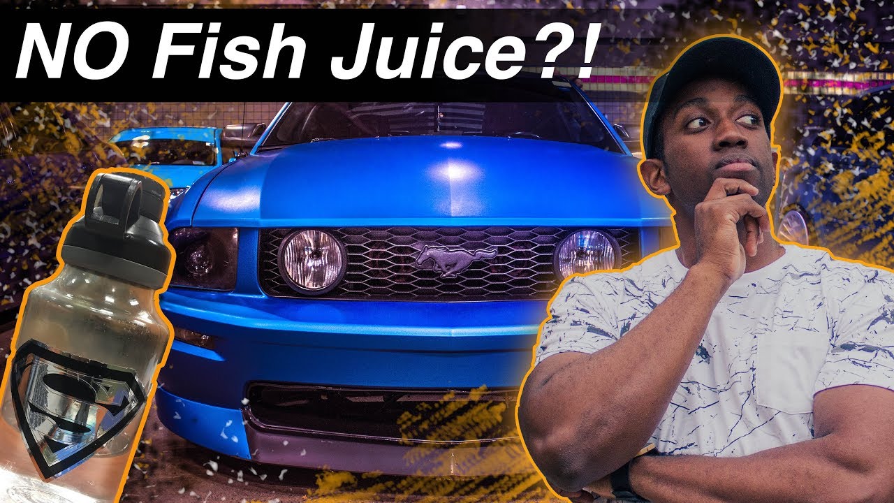 NO Fish Juice?! (LATE vlog!) - ThatguyVlogs 9 - YouTube