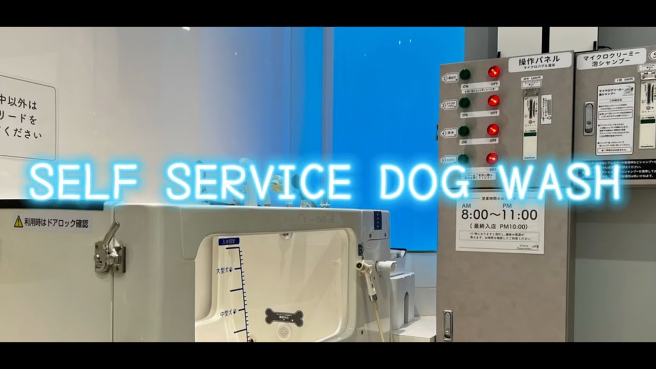 SELF SERVICE DOG WASH_Fuwawan - YouTube