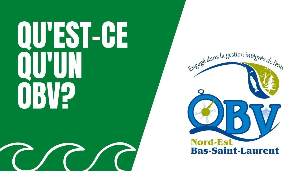 Qu'est-ce qu'un OBV? - YouTube