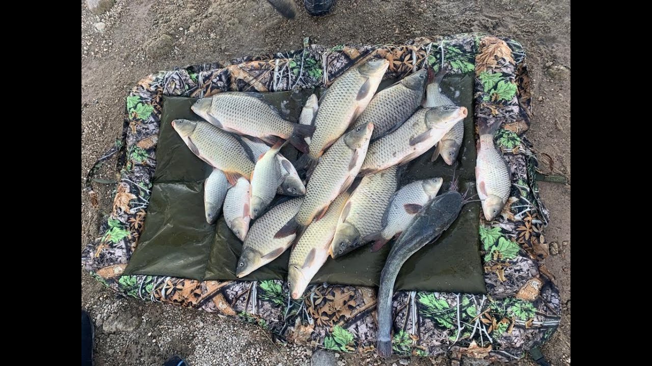 PapGooi Fishing At SpitsKop Dam Ep3 - YouTube