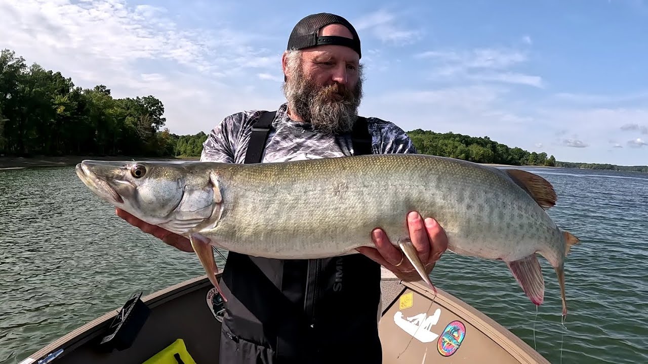 Late Summer Ohio Musky Fishing - YouTube