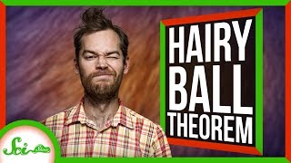 Ethical dilemma: Should we get rid of mosquitoes? - Talya Hackett ...