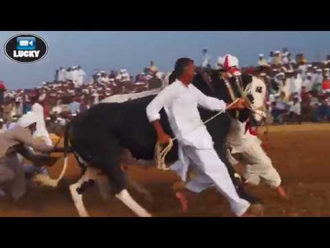 Jalsa Karah Jhamra Sharif Chakwal kalar kahar New Mela 2019 | Jhamra ...