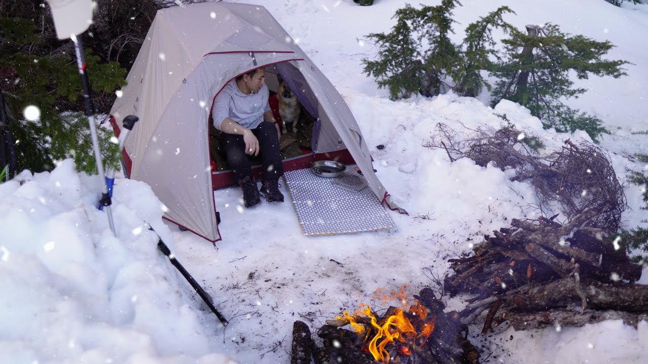 Snow Camping with my Dog by a Lake Covered in Snow | Warmth and Cozy ...