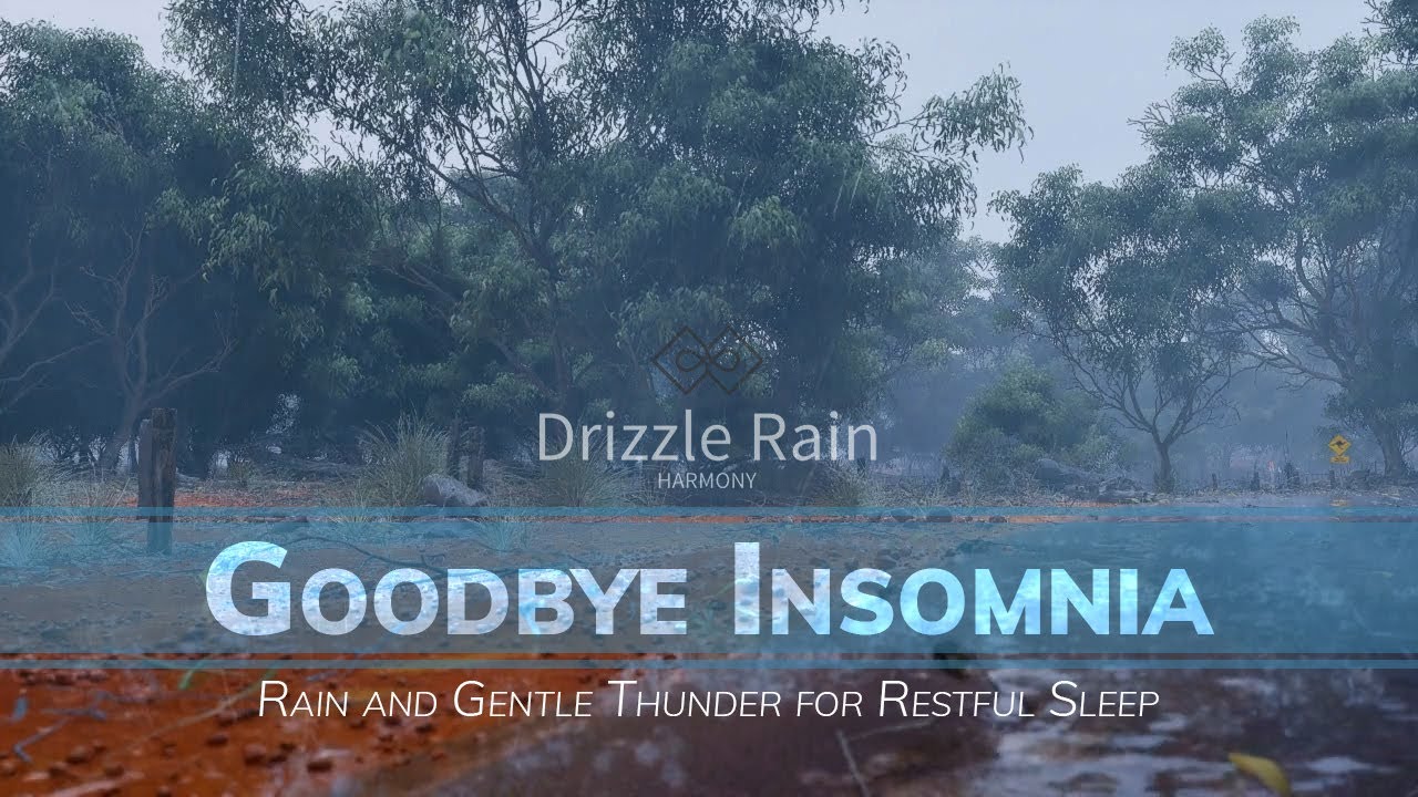 Drizzle Rain Harmony Live Stream | Rainy Road Ambience | Rainfall ASMR ...