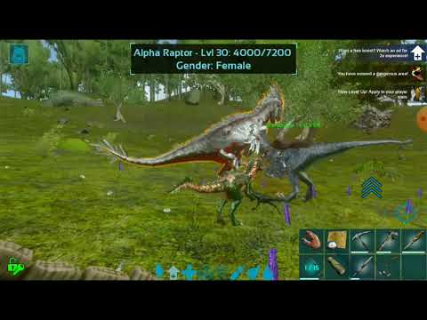 Raptor VS Alpha Raptor | (ARK Survival Evolved Mobile) - YouTube