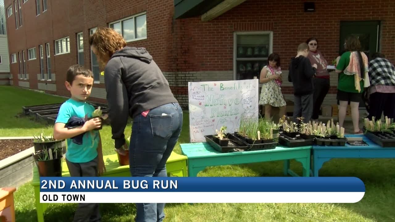 2ND ANNUAL BUG RUN 2023 - YouTube