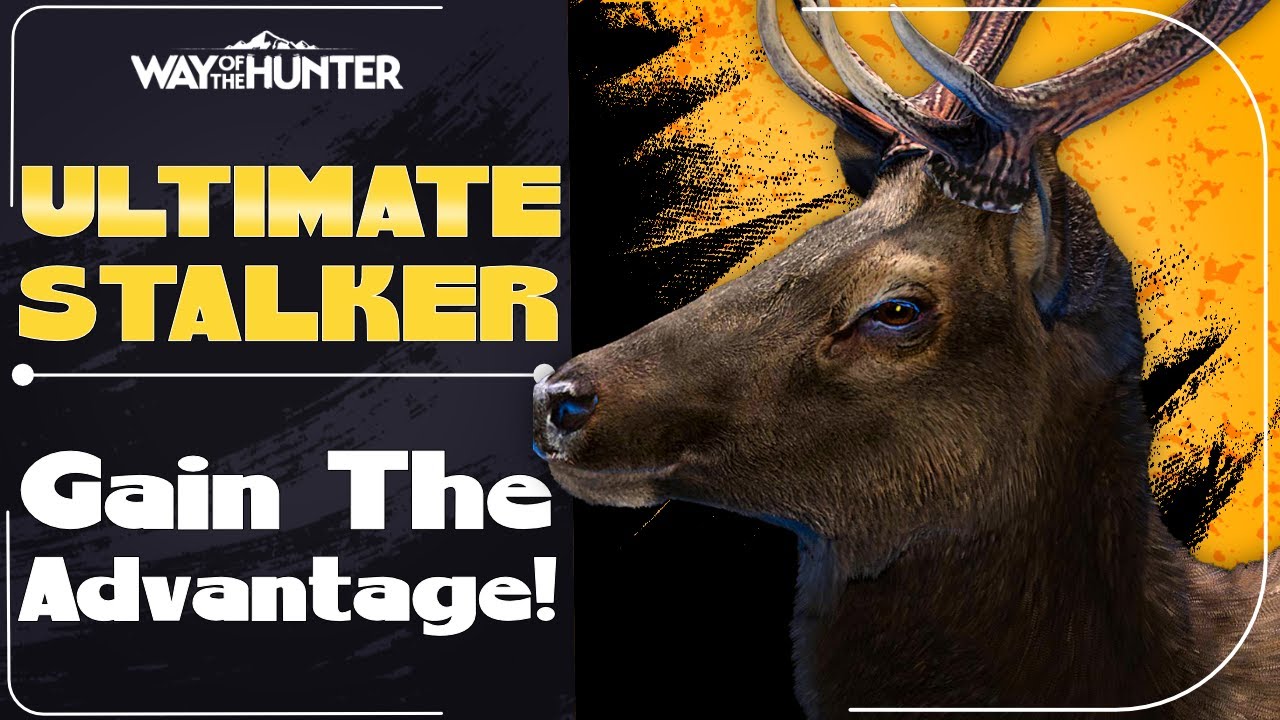 WAY OF THE HUNTER - way of the hunter gameplay How to hunt - YouTube
