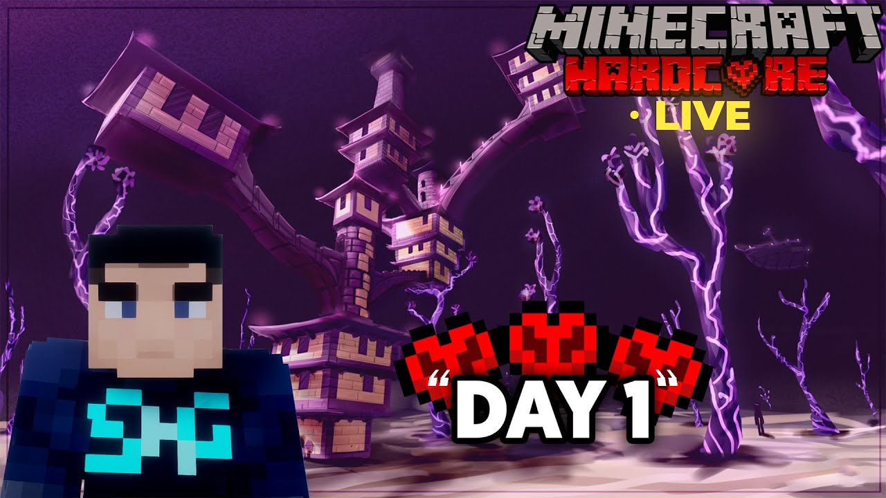 Minecraft Hardcore Live Stream *PUBLIC SMP* - YouTube