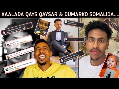 FREE QAYS QEYSAR😂 | DUMARKA SOMALIYEED OO WEERAR CIR & DHUL AH KU ...