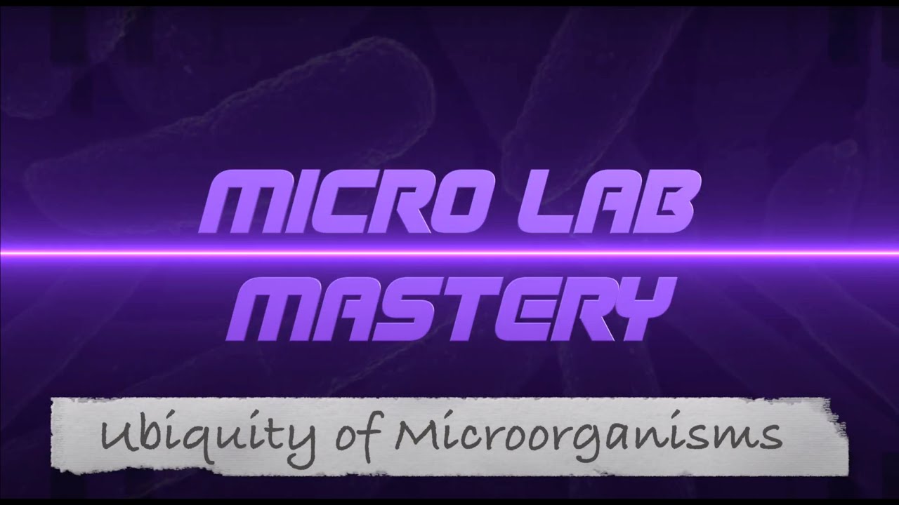 Lab 1) Ubiquity of Microorganisms - YouTube