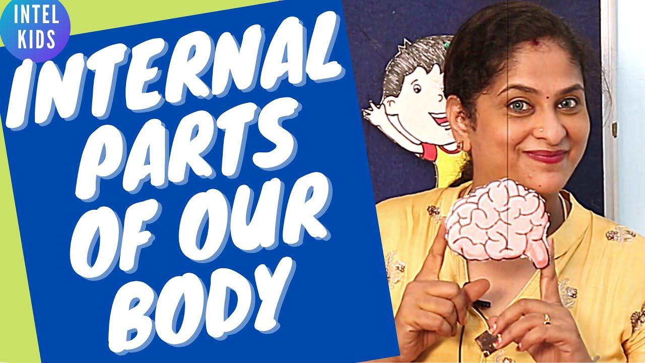 How To Teach Kindergarten Kids | Internal Body Parts for Kids | Learn ...