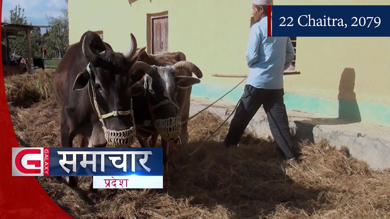 Galaxy Province News | 22 Chaitra, 2079 - YouTube