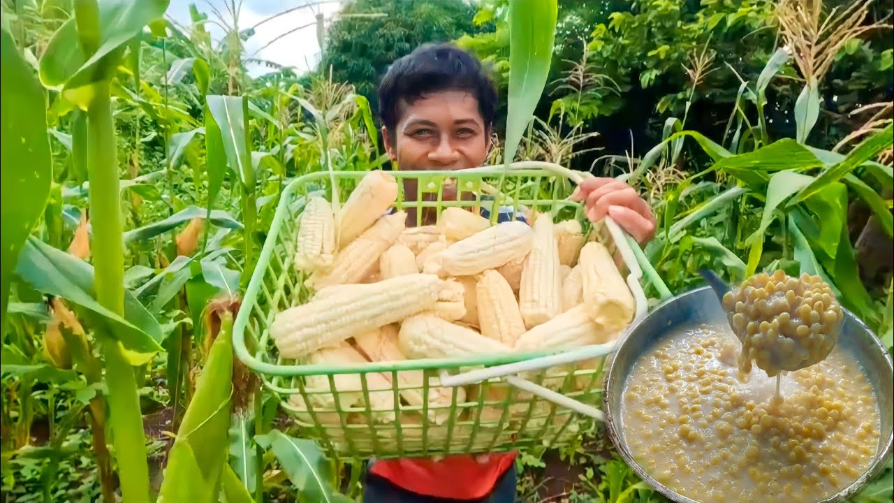 SA WAKAS! MATITIKMAN NA ANG SARAP NG TANIM NAMING MAIS | "BINATOG" NA ...