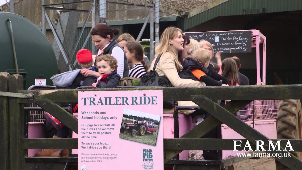 Pink Pig Farm Shop - YouTube