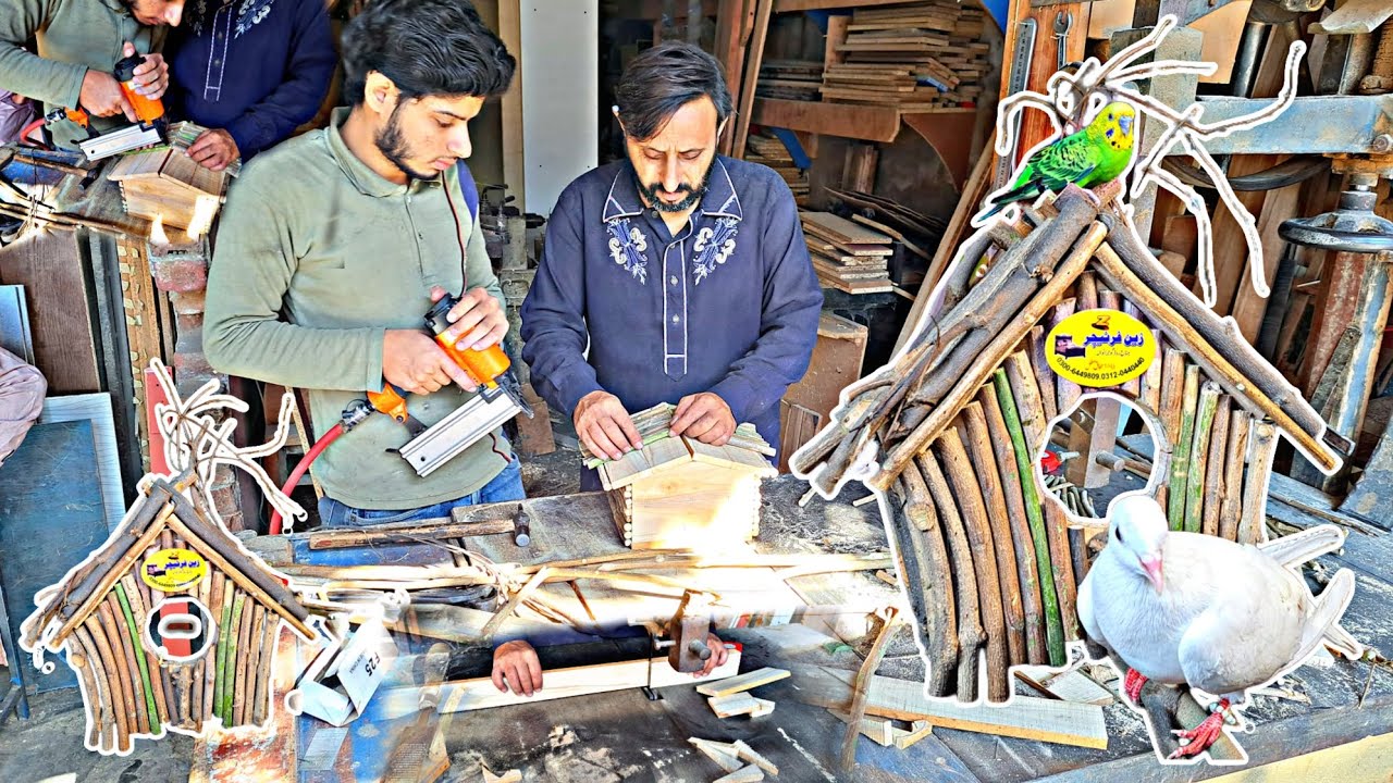 How to Make Parot House | Beautiful Parrot Tree House - YouTube