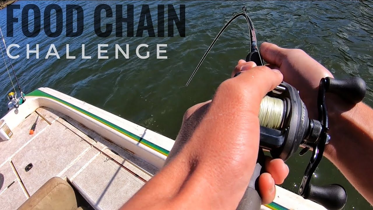 Food Chain Fishing Challenge in Zimbabwe !(Tiny Worm to MONSTER Fish ...