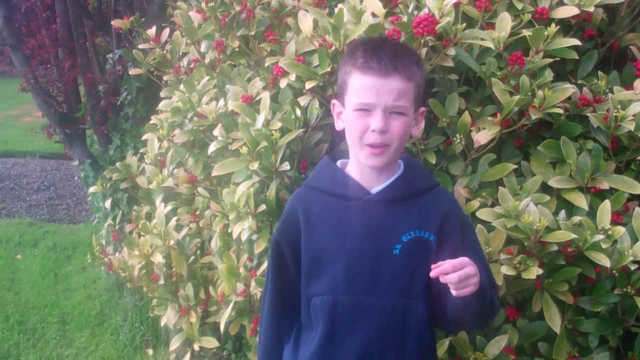 Dylan Mangan - Puck Fair 400+ Time Capsule - YouTube