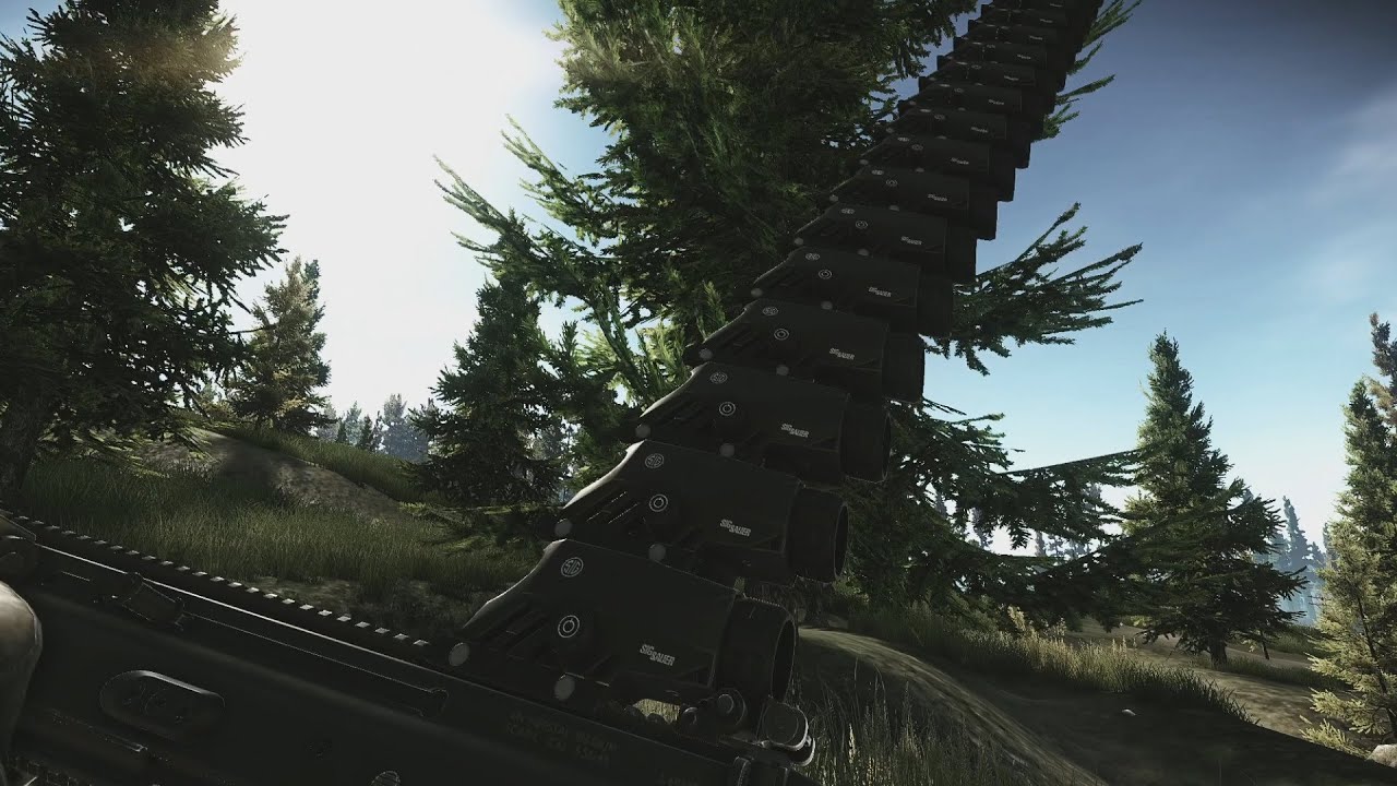 The Sig Bravo stacc (Tarkov cursed guns) - YouTube