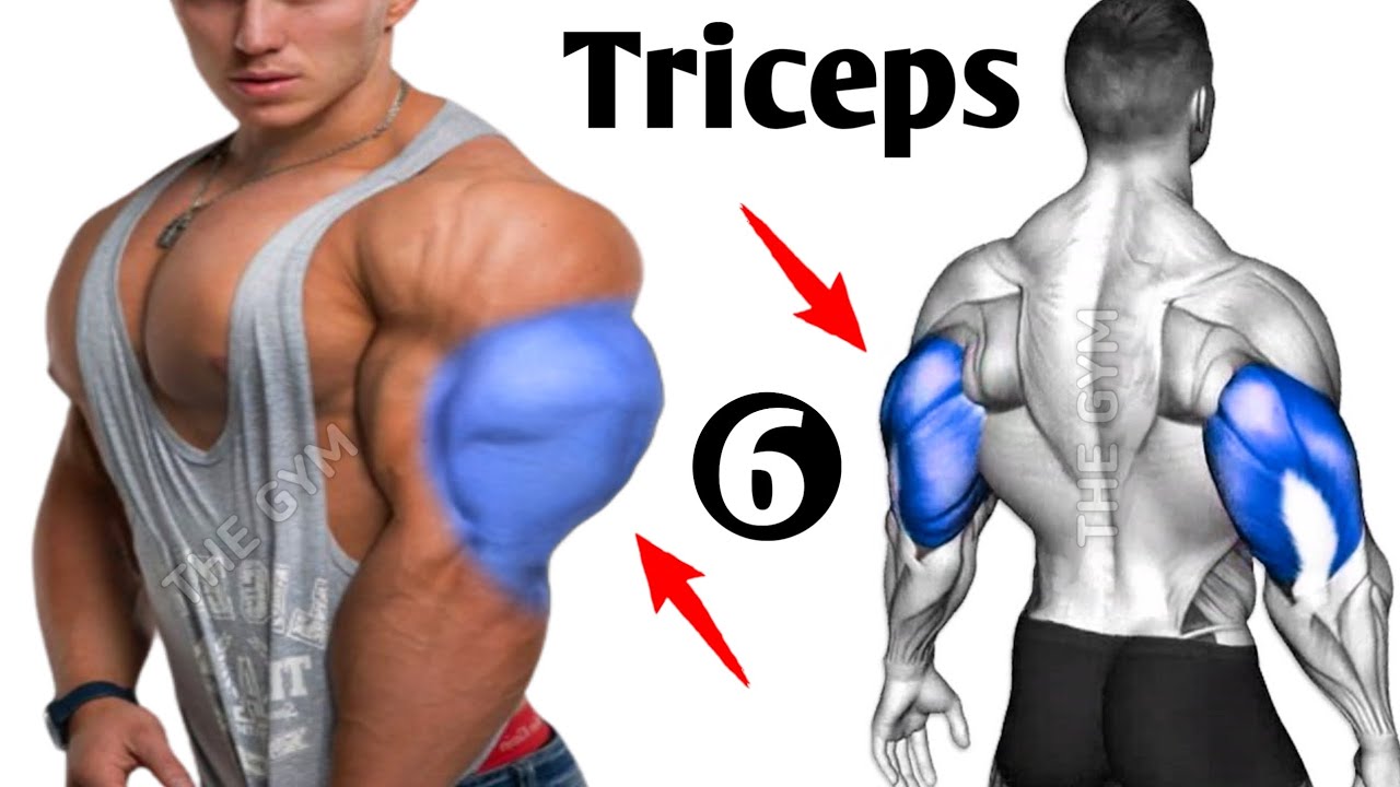 6 Big Triceps Exercises for Muscle Growth - YouTube