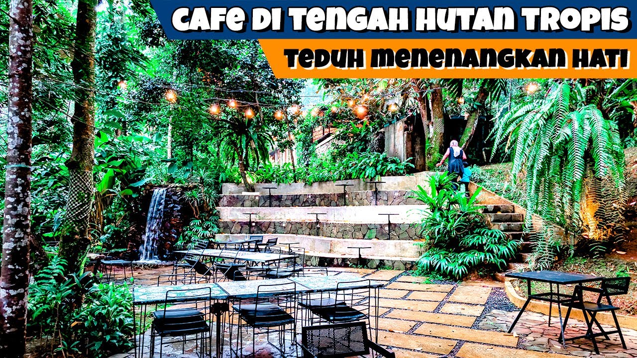 WORK FROM CAFE | ALASSE COFFEE | Tempat Nyaman di Tengah Hutan Tropis ...