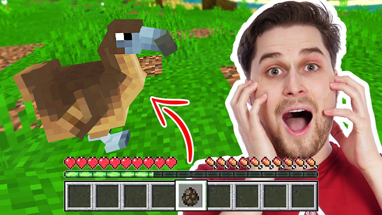 Eindelijk Dodo's In Minecraft?!😍😱 - YouTube