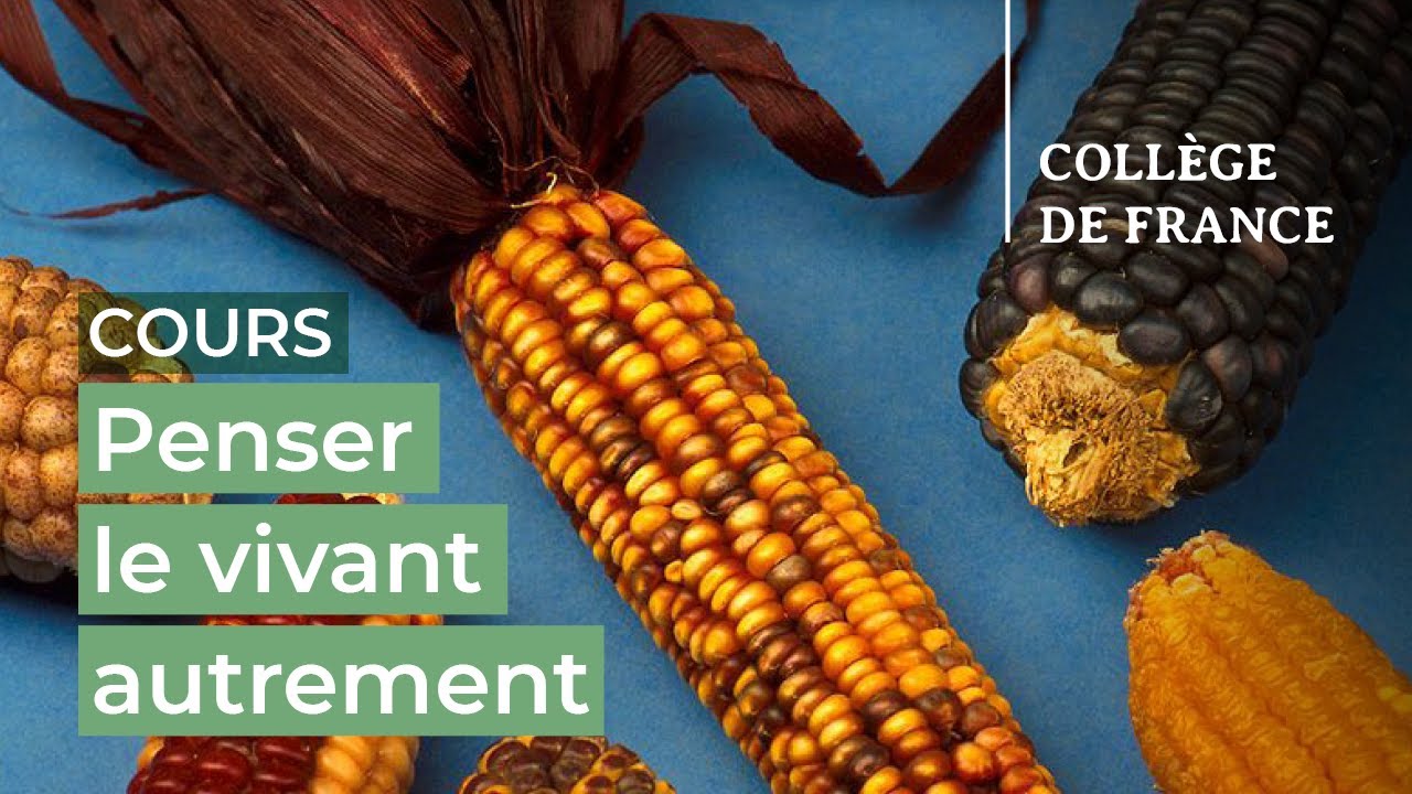 Penser Le Vivant Autrement 9 Virginie Courtier Orgogozo 2022 2023