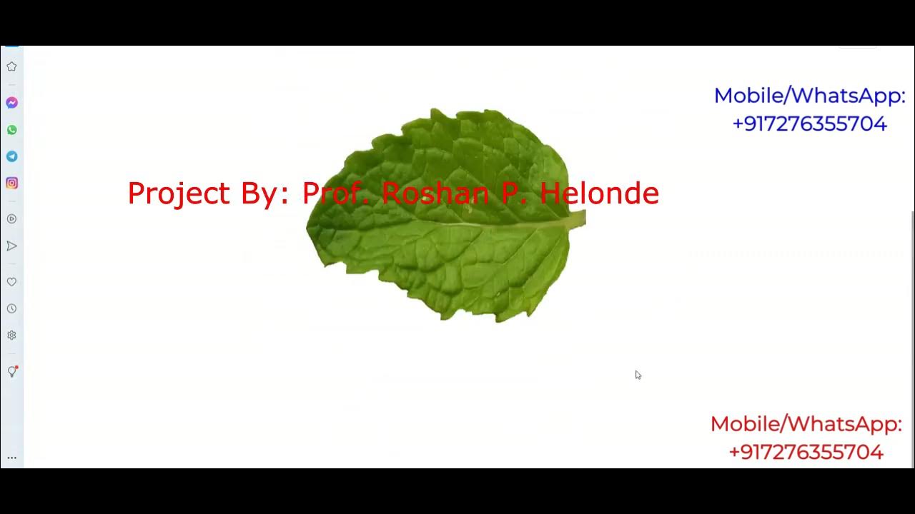 Medicinal Leaf Recognition Using Python Opencv | Leaf Classification Using Image Processing Code ...