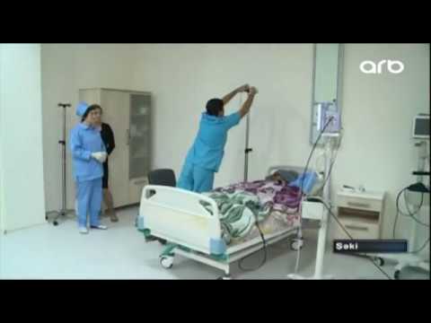 Şəkidə ayı kişiyə hücum edərək yaralayıb - ARB Kəpəz